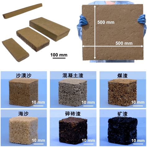 我国科学家研制出仿生低碳新型建筑材料 新华社中国科学院技术粘结