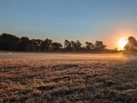 Field Pasture Mist Free Photo On Pixabay Pixabay