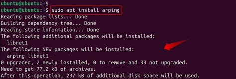 Arping Command In Unix