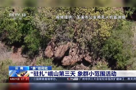 云南象往何处 象群小范围活动 离群独象距象群24公里