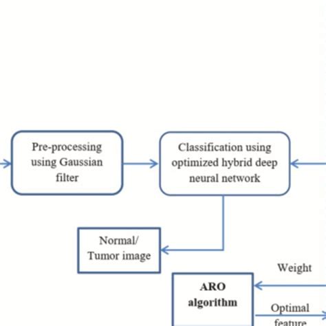 Pdf Brain Tumor Segmentation And Classification Using Optimized Deep