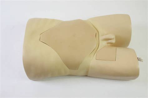 Posterior Vaginal Fornix Puncture Model