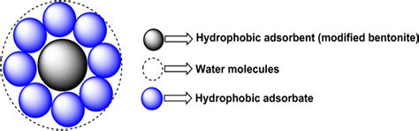 Schematic Presentation Of Hydrophobic Interaction Between Hydrophobic