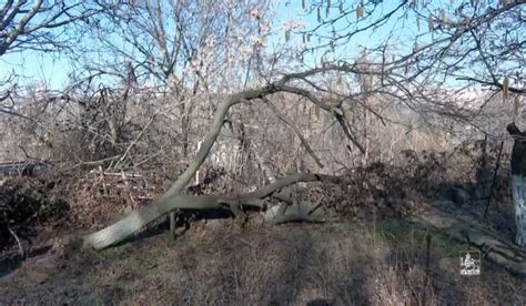 Հիմնվելու է շուրջ 30 հա մակերեսով զբոսայգի