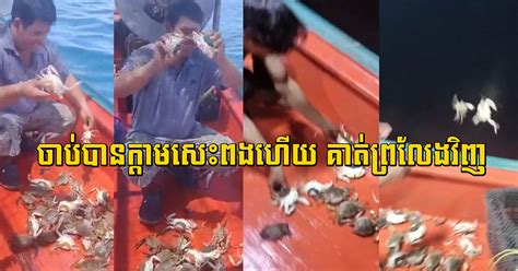 ផ្ទុះ ការ វែកញែក ក្រោយ បុរស ម្នាក់ នេសាទ បាន ក្តាមសេះ ពង បែរ ព្រ លែង