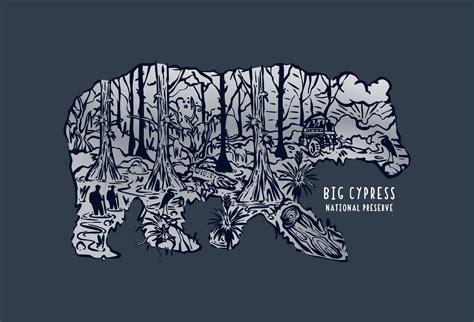 Big Cypress Bear Sketch T Shirt Florida National Parks Association