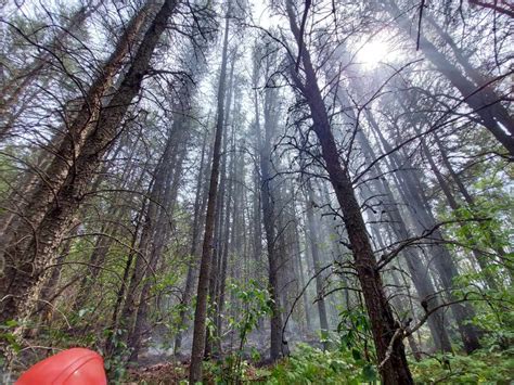 2 Ppcli Look At How Beautiful Mb Is Check Out These