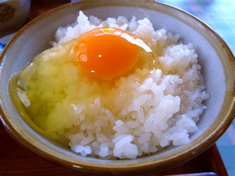 KJCLUB 韓国が日本の卵かけご飯をPakuri