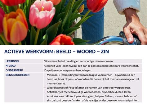 Kennis En Inspiratie Actieve Werkvorm Beeld Woord Zin Nt2