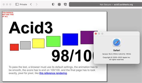 Orion Does Not Behave The Same As Safari On Acidv3 Test Orion Public