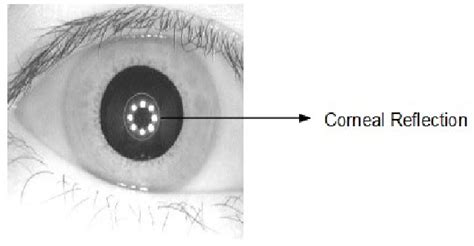 Figure From Geometry Based Method For Iris Segmentation Semantic Scholar