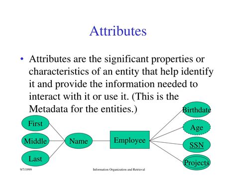 Ppt Database Design Conceptual Model For A Diveshop Business
