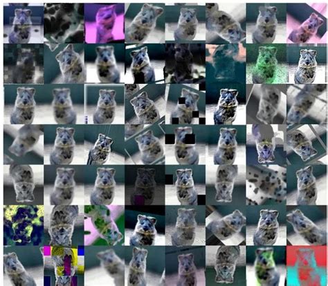 D和 D数据增强方法和Python代码 腾讯云开发者社区 腾讯云