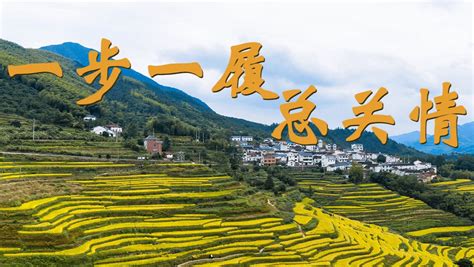 68家“雄鹰”企业长成 浙江首批雄鹰企业名单发布