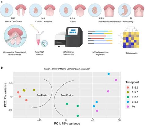 Jeremie Oliver Piña Phd Ms Mba On Linkedin Multimodal Spatiotemporal Transcriptomic