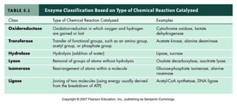 Biochem Lecture Chapter Flashcards Quizlet