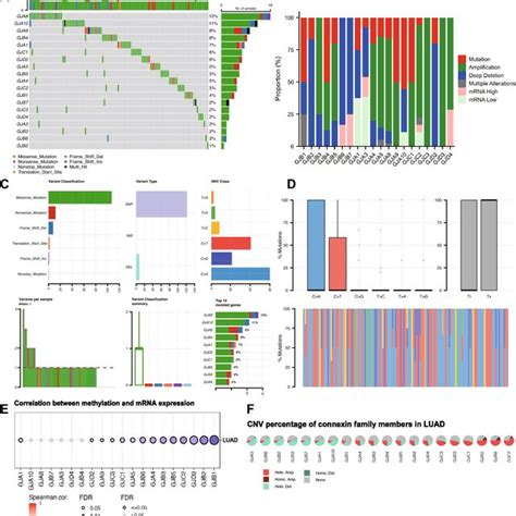 Mutation Profile Analysis Of Cx By Using The Tcga Datasets A Oncoplot