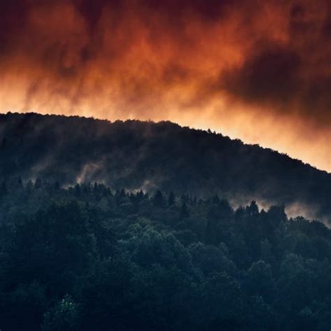 Forest Fire Detection Wanwave