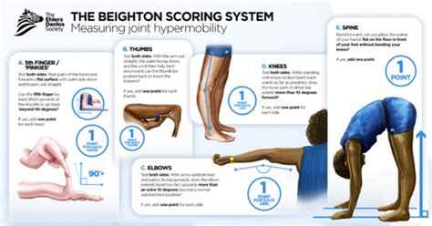 Flexibility 4 Life Exercise Physiology