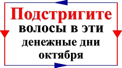 Когда стричь волосы в октябре 2024 для привлечения достатка и денег Стрижка по лунному