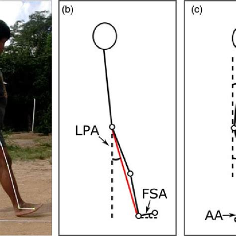 marker positions and body segments analysed a and angles measured at