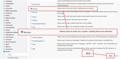 Salesforce Number Field