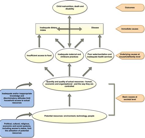 Theoretical Framework Source Unicef 1998 18 Download Scientific