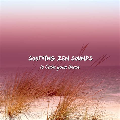 Album 17 Soothing Zen Sounds To Calm Your Brain White Noise Meditation