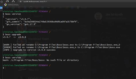bug on boss upgrade · issue 105 · hashload boss · github