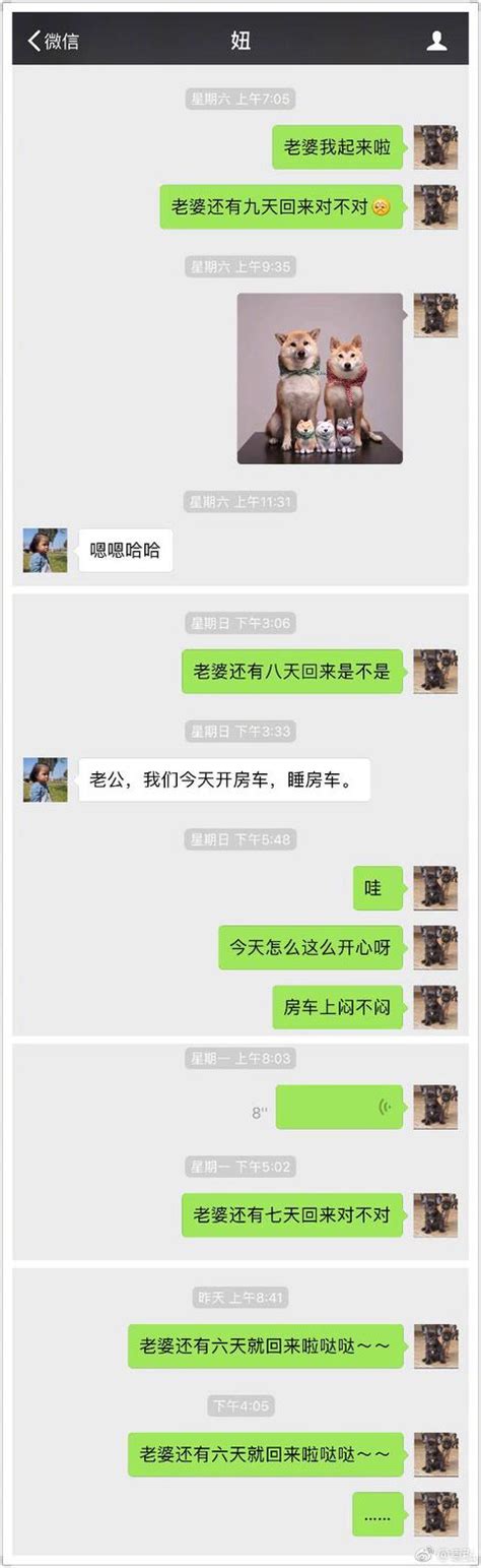 袁弘與張歆藝的撒狗糧日常，甜齁了！ 每日頭條