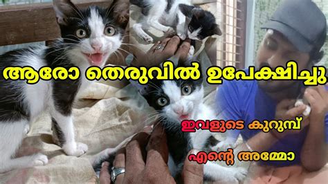 ചക്കി ഇപ്പോൾ എന്റെ കൂടെ കിടക്കൂ 🤣🤣 രക്ഷിച്ച സ്നേഹത്തിന്റെ വില 🙏🙏🙏u