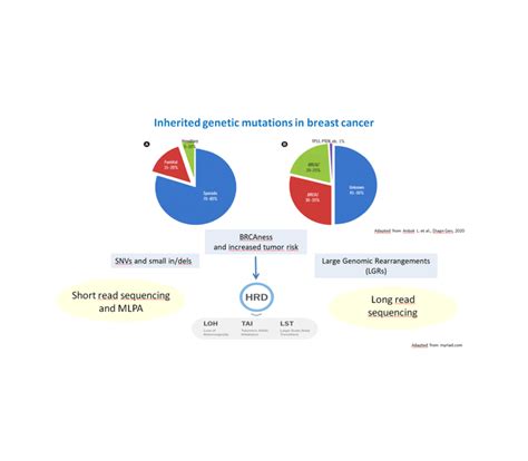 Implementation Of Oxford Nanopore Whole Genome Sequencing For Deciphering Large Genomic