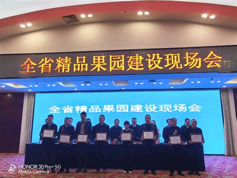 工作动态 夷陵脐橙在全省晚熟柑橘鉴评会上摘得金奖 严显硕 发布 夷陵科特派