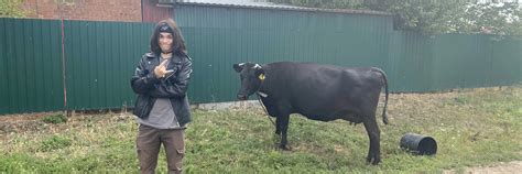 Портянки Отчаяния ВКонтакте