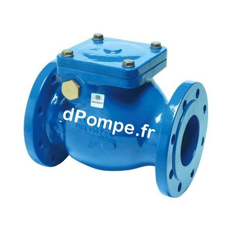 Clapet Anti Retour à Battant Bayard Série B6 51 DN 200 PN 16