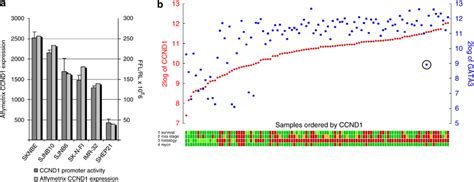 Affymetrix Microarray Analysis Suggests Cyclin D1 Transcriptional Download Scientific Diagram