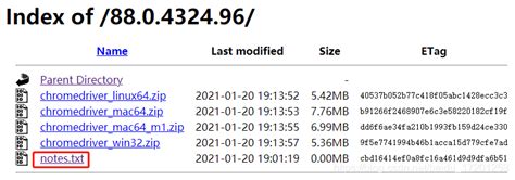 python selenium环境搭建一 小泽的窝 博客园