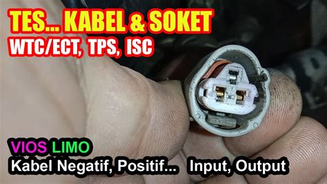 KABEL WTC ECT TPS ISC Tes Jalur Kabel Input Output Positif Negatif Vios Limo