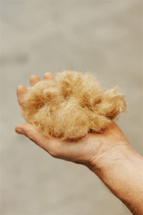 Products Frankenhuis