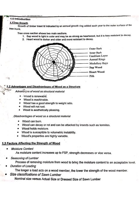 Solution Timber Wood Classifications Studypool