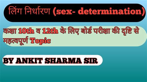 Sex Determination Youtube