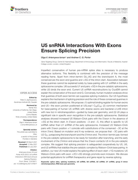 PDF U5 SnRNA Interactions With Exons Ensure Splicing Precision