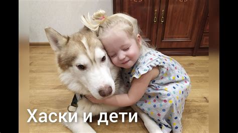 Хаски.Хаски и ребенок.Хаски в доме. - YouTube
