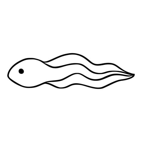 Tadpole Environment Vector Art Icons And Graphics For Free Download