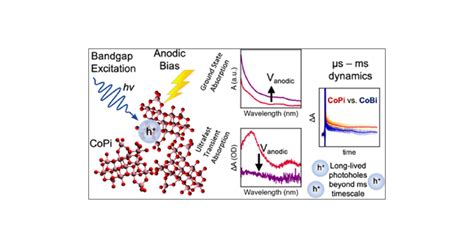 Observing Long Lived Photogenerated Holes In Cobalt Oxyhydroxide Oxygen Evolution Catalysts