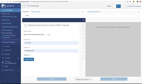 Pace Archive Storage Pace Cluster Documentation Pace Archive Storage Pace Cluster Documentation