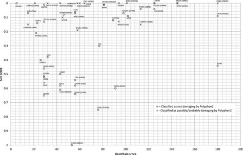 In Silico Functional Predictions Download Scientific Diagram