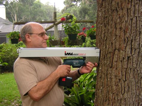 Tree Risk Assessment Lippi Consulting Arborists