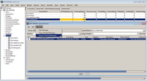 how to configure and test tibco ems bridging devoteam netherlands
