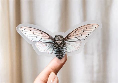 Ghost Cicada Vinyl Sticker